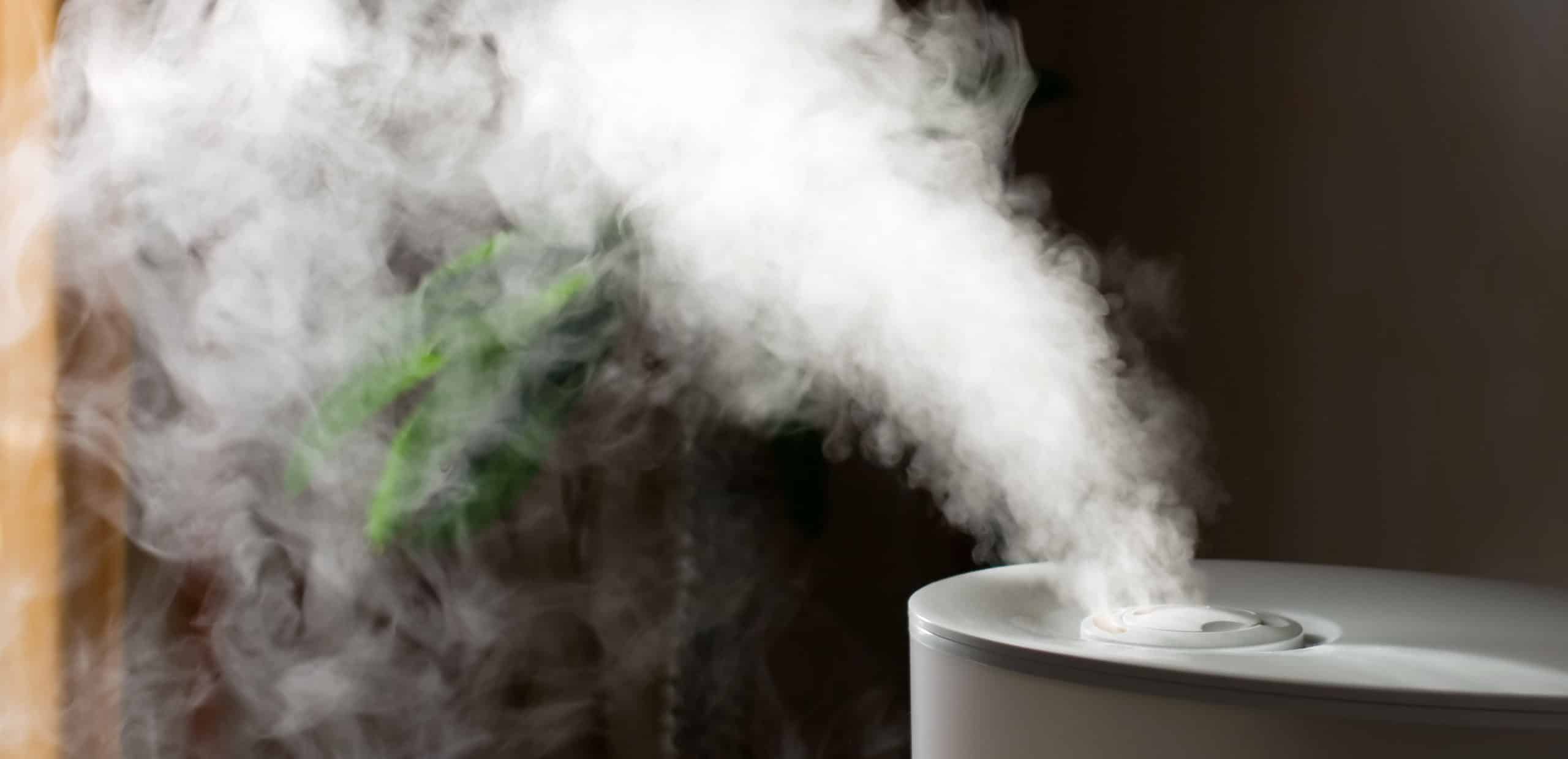 How Does a Humidifier Combat Dry Winter Air? | Air Tech of Pasadena